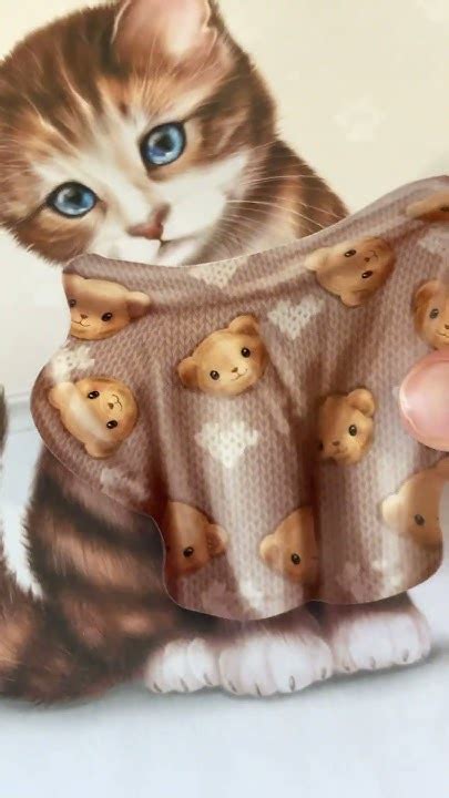 Cute Topmodel Kitten Dress Up Notsponsored Cute Cat Youtube