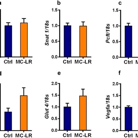 The Effect Of Paternal Mc Lr Exposure On Fetal Weight And Crown Rump Download Scientific