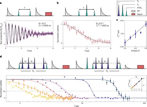 Electron Spin Coherence A Electron Spin Ramsey Interferometry As A Download Scientific Diagram