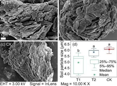 The Sem Patterns Ac And Average Soil Particle Sizes D In Soil