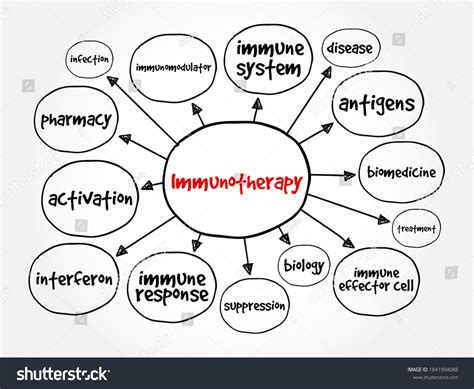Immunotherapy Mind Map Concept Presentations Reports Stock Illustration