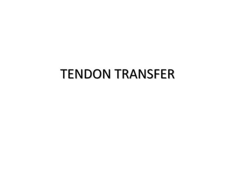 Tendon Transfer Principles And Techniques Pptx
