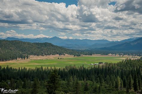 A Teaching Journey Framed By Nature — Teach Scott Valley California