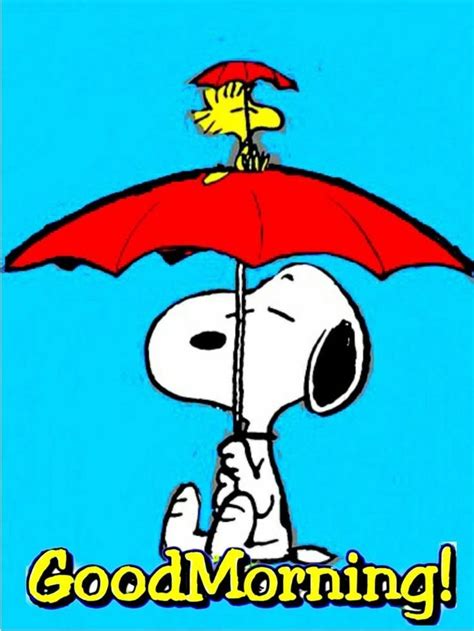 Pin On Snoopy And Eeyore Snoopy Pictures Goodnight Snoopy Snoopy Images