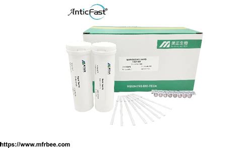 Beta Lactam Strip Test Kit