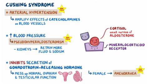 Hypercortisolism Flashcards Quizlet