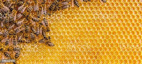 The Path From Utility Regulation To Implementation