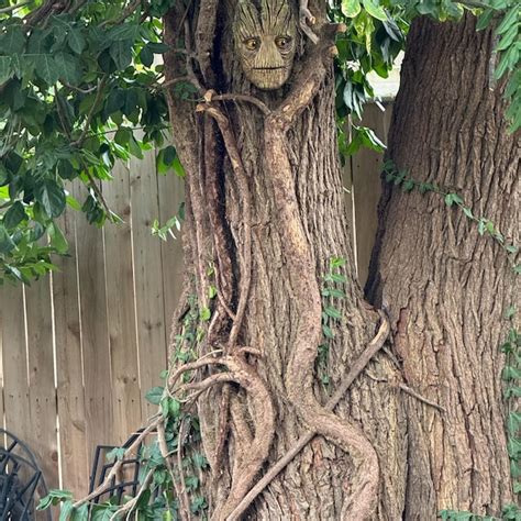 Willy The Tree Face Funny Faces For Trees Outdoor Sculpture Statue Penis Yard Art Rude