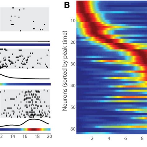 Time Cell Firing Patterns In Ca1 And Ca3 During Treadmill Running In
