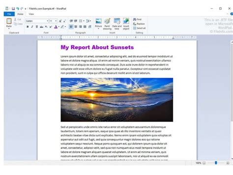 File Management Ict Igcse Chapter 11 Pptx Web Design And Html