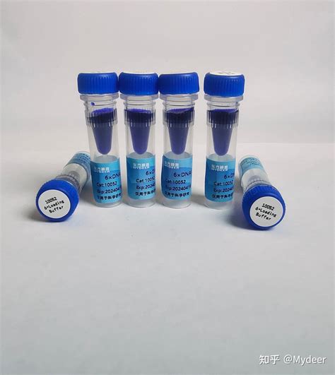 Dna6×loading Buuf的作用及使用方法 知乎