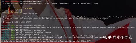 喜欢长文吗？1w字带你了解sqlmap，从0到1，waf绕过，高级用法一文通透 知乎