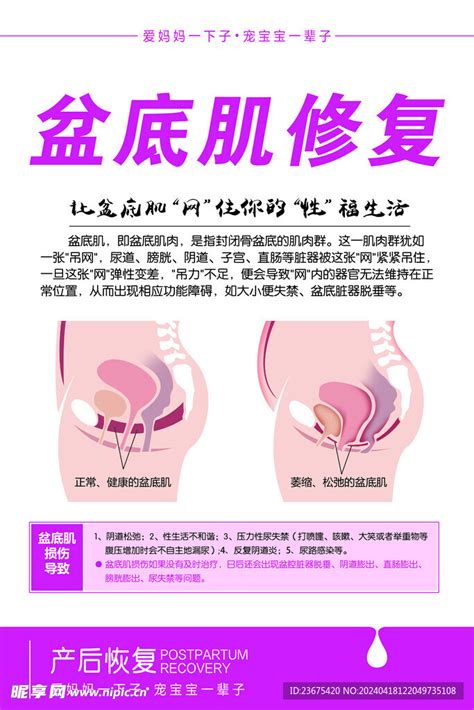 盆底肌修复设计图展板模板广告设计设计图库昵图网