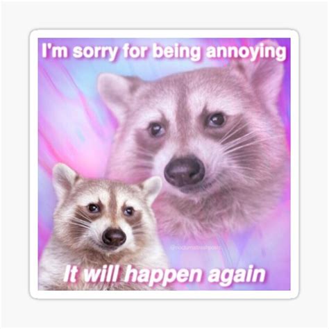 Im Sorry For Being Annoying It Will Happen Again Raccoon Meme