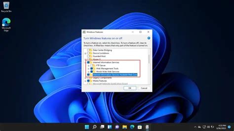 how to install internet information services iis on windows