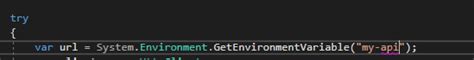 Amazon Web Services How Do I Set Fetch Environment Variable In AWS