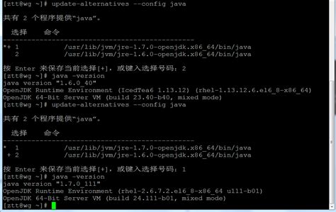 使用update alternatives 命令修改Java版本 自动切换Java版本 阿里云开发者社区