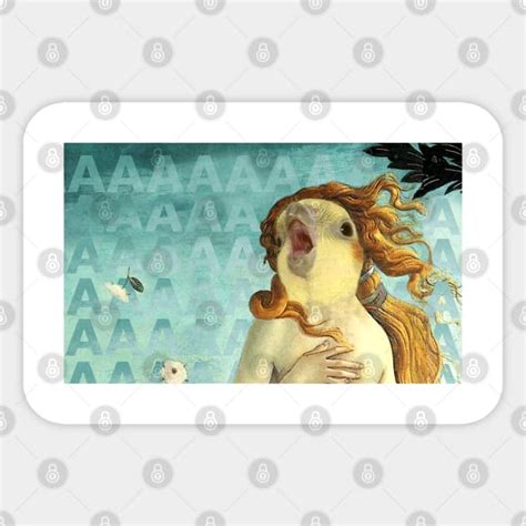 Venus Birb Aaaaaaa Parrot Sticker Teepublic