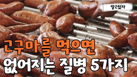 고구마를 먹으면 없어지는 질환 5가지 Youtube