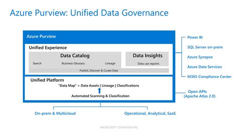 Azure Purview Pdf