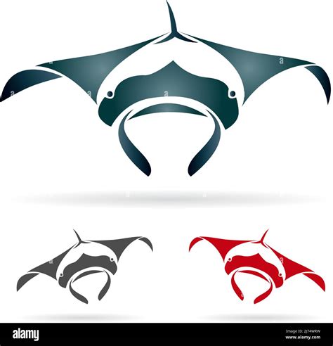 Vector Image Of Stingray On White Background Animals Stock Vector