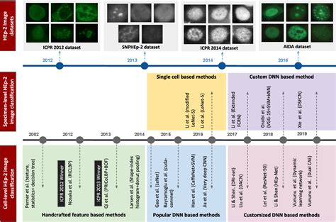 Figure 1 From Deep Learning Based Hep 2 Image Classification A Comprehensive Review Semantic