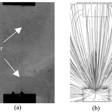 Schematic Representation Of The Experimental Setup With Parallel Macro Download Scientific