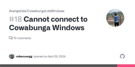 Cannot Connect To Cowabunga Windows · Issue 18 · Avangelistacowabungalitewindows · Github