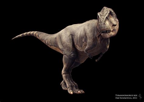 T Rex New Render By Swordlord3d On Deviantart