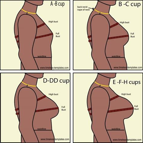 Finding Dress Bust Cup Sizes Timeless Templates Pola Bra Bra