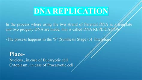 Dna Replication Pdf