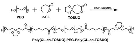 Synthesis Schematic Of Pct Peg Pct Download Scientific Diagram