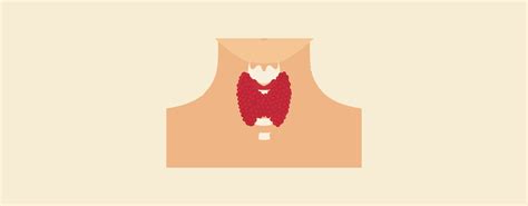 Acquired Hypothyroidism Vs Hypothyroidism Thyroid Hypothyroidism Knya