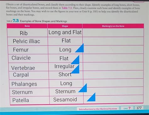 Solved Obtain A Set Of Disarticulated Bones And Classify