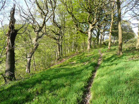 Woodland Path Off Wood Lane Hipperholme © Humphrey Bolton Geograph