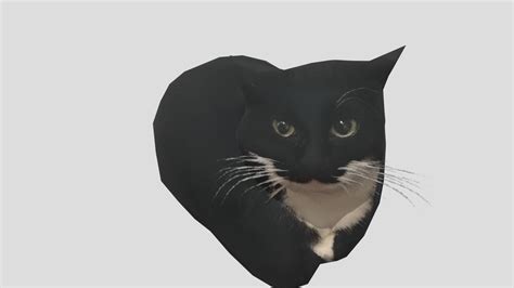 Maxwell The Cat Download Free 3d Model By Mati Mati660 [f4a8336
