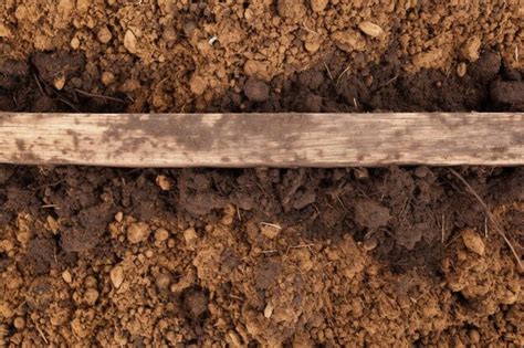 Top View Natural Soil Frame Premium Ai Generated Image