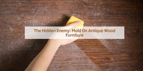 How To Clean Mold Off Of Antique Wood Furniture A Guide