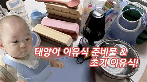 육아브이로그 내돈내산 이유식 준비물 그리고 초기 이유식 만들기 쌀 오트밀 소고기 애호박 양배추 단호박까지 이유식