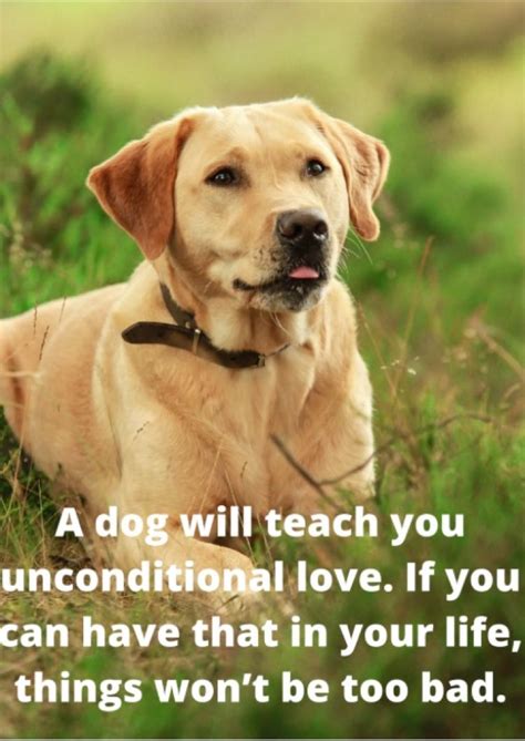 Vicky Rutherford On Linkedin ️ ️ ️ ️