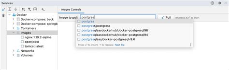 在 Docker 容器中运行数据库 Intellij Idea 文档