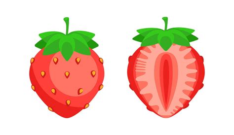Two Strawberries Showing Whole Fruit And Cross Section On White