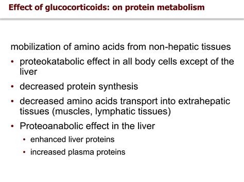 L11 The Adrenal Gland Glucocorticoids Ppt