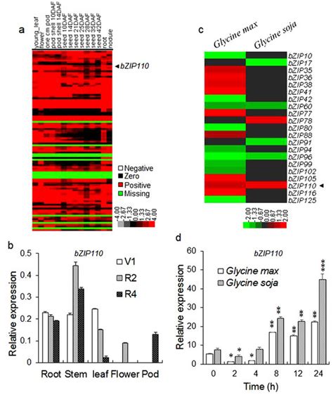 transcript abundance profiles of gmbzip genes a in silico