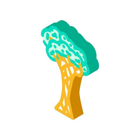 Strangler Fig Jungle Amazon Isometric Icon Vector Illustration 34790882