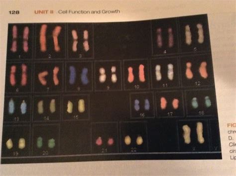 Week 2 Chapter 6and7 Genetics Genetic And Congenital Disorders