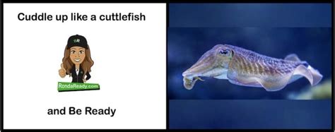 Cuddle Up Like A Cuttlefish And Be Ready