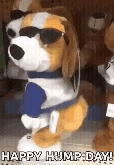 Hump Day Funny S Download And Share