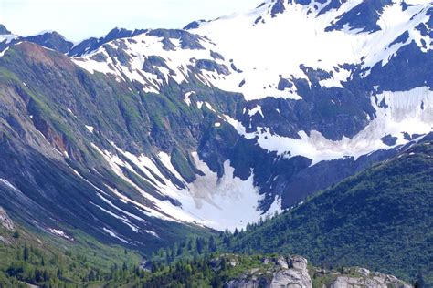 Xerophyte Plants What Are Characteristics And Examples Evidence Network