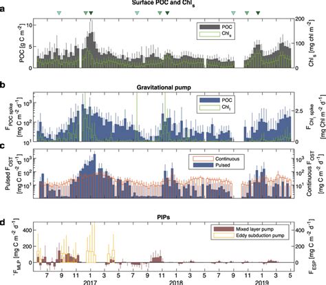 Seasonality Of Multiple Carbon Export Pathways A Stock Of Particulate